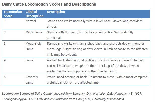 Surgical procedures of leg3